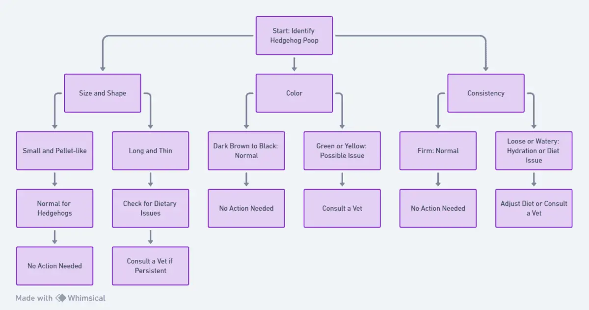 Hedgehogs Poop Color: Everything You Need to Know!