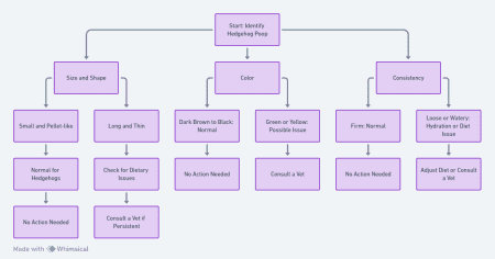 Hedgehogs Poop Color: Everything You Need to Know!